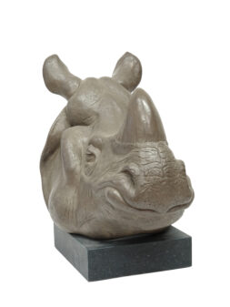 Neushoorn - Gallery van Dun