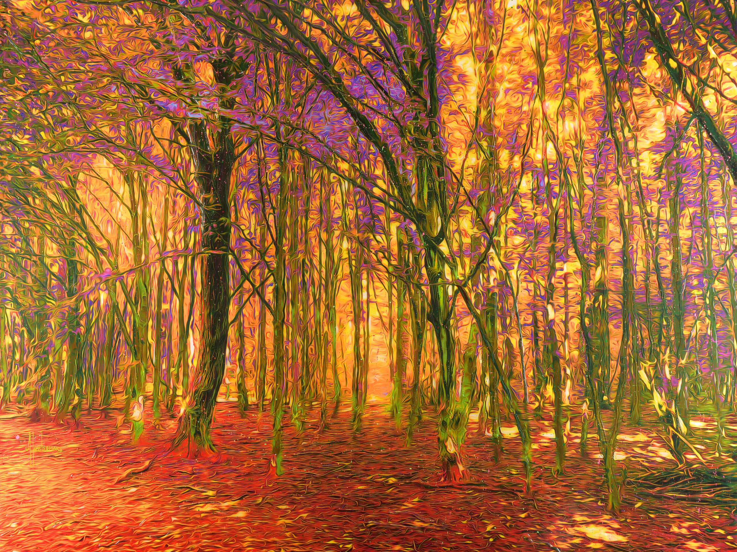 Het Grote Rode Bos - Gallery van Dun