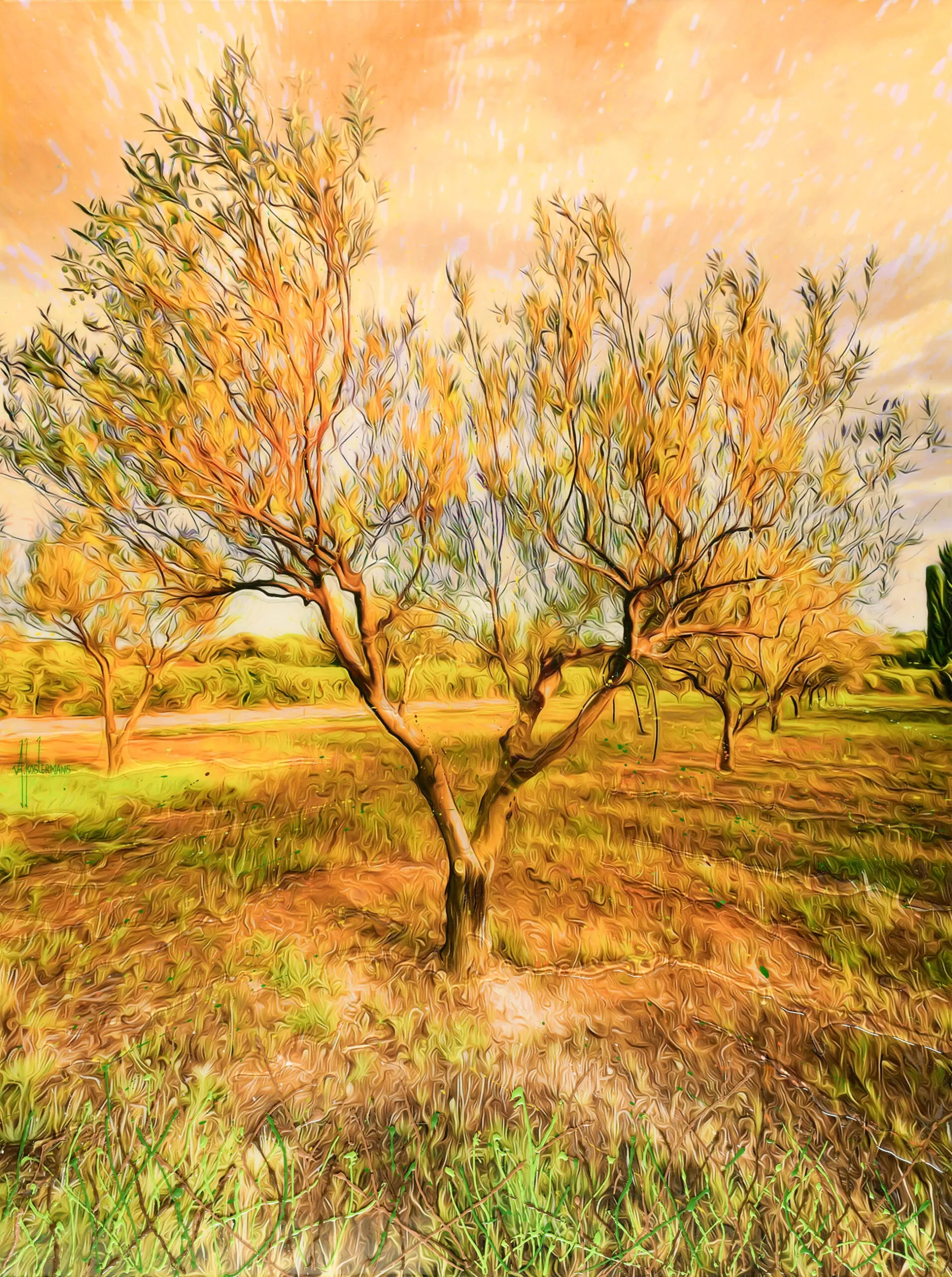 Olive Tree - Gallery van Dun